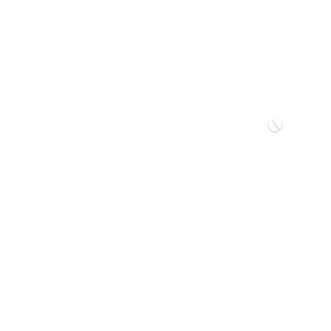 Our Products – zyonis